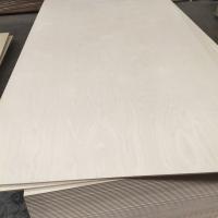 China Birch Veneer Plywood 1220x2440mm 7-30mm Thickness with Moisture Resistant Melamine Surface for sale