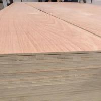 China Okoume Wood Veneer Poplar Plywood 1220x2440mm 12-20mm Thickness for Furniture and Cabinets for sale