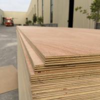China Okoume Wood Veneer Poplar Plywood 1220x2440mm 12-20mm Thickness for Furniture and Cabinets for sale