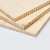 China Okoume Wood Veneer Poplar Plywood 1220x2440mm 12-20mm Thickness for Furniture and Cabinets for sale