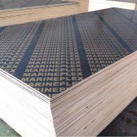 China 18mm Film Faced Plywood 4x8 Shuttering Board - Moisture Resistant Construction Panel with 1220x2440mm Size for sale