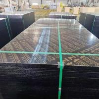 China 18mm Film Faced Plywood 4x8 Shuttering Board - Moisture Resistant Construction Panel with 1220x2440mm Size for sale