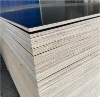 China 18mm Black Film Faced Plywood 1220x2440mm Waterproof Construction Board with Anti-Slip Surface for sale