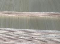 China 18mm 4x8 Melamine Laminated Plywood Panels - E0 Standard for Furniture & Marine Applications for sale