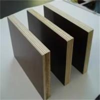 China 12-20mm Birch Veneer Plywood - Moisture Resistant Solid Wood Panels for Furniture & Cabinets for sale
