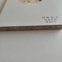 China Waterproof Particle Board 12-18mm Thickness for Kitchen Bathroom Furniture with Moisture Resistant Properties for sale