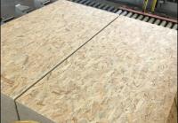 China 4x8 Tongue and Groove OSB Board 9-25mm Thickness with Moisture & Fire Resistance for Structural Building Applications for sale