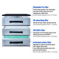 China FES350PRO 350W Fume Extractor for DTF Printers Smoke Purifier with Multi-Stage HEPA Filter for 3D Printing and Laser Engraving for sale