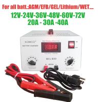 China OEM 24V Golf Cart Battery Chargers Desulfator Maintainer With Smart Chip for sale