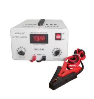 China AC90V~264V Electric Golf Cart Battery Chargers 5A-40A For Multiple Batteries for sale