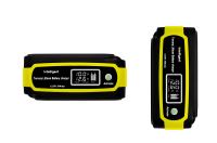 China 12V/24V AUTO Output Voltage Auto Battery Chargers with Output Frequency 50/60Hz and Output Power 200W for sale
