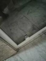 China White Painted Profile Pivot Door Shower Enclosures 90X190cm for sale