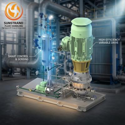 China Water Injection EOR High Pressure Centrifugal Pump 200 Bar API 610 OH6 Vertical for sale