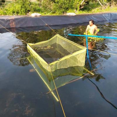 China Direct 0.5mm Eco-Friendly HDPE Plastic Geomembrane for Fish Pond Roll Length 50-200m for sale