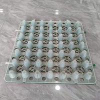 China Customized Impounding Drainage Board Onsite Inspection After-sale Service for Mall for sale