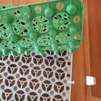 China HDPE Plastic Water Impounding Drainage Board Garage Roof Greening Garden Sale at Best for sale