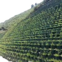 China Geo Cell Ground Grid Paver Road Grid Gravel Honeycomb Gravel Driveway 20-50mm Height Hdpe for sale