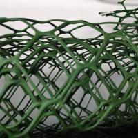 China Roadbed and Tunnel Engineering Green HDPE Geonet with Anti-Ultraviolet Protection for sale