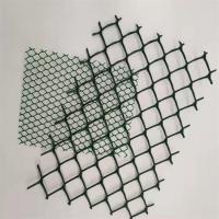 China Roadbed and Tunnel Engineering Green HDPE Geonet with Anti-Ultraviolet Protection for sale