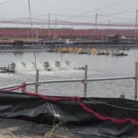 China HDPE Geomembrane Artificial Pool Fish Pond Lake Tank Liner for Onsite Training Service for sale