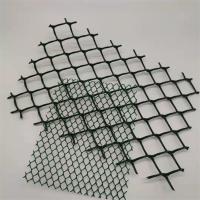 China Anti-Ultraviolet HDPE Mesh for Modern Design Soil Reinforcement and Distribute Loading for sale
