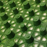 China Green Roof Water Storage and Drainage Cell Mat Board for Conservancy in Traditional Design for sale