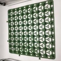 China Green Roof Water Storage and Drainage Cell Mat Board for Conservancy in Traditional Design for sale