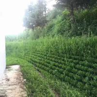 China 50mm-250mm Height HDPE Retaining Wall Road Reinforcement Geocell for Landslide Support for sale
