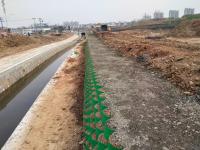 China Green Geocell Gravel Grid for Parking Lot Soil Stabilization and Driveway Construction for sale
