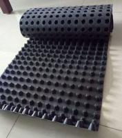 China HDPE Plastic Drainage Board for Upper and Lower Floors of Landfill Artificial Lakes for sale