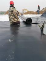 China Eco-Friendly Geomembrane for Fish Pond 0.5mm Thickness from Length 50-200m / Roll for sale