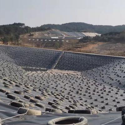 China 1mm 2mm HDPE Geomembranas for Landfill Dam Construction in Black White Blue or Green for sale