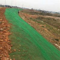 China 3D Geomat for Slope Protection and Erosion Control 14mm Thickness HDPE Material Used for sale