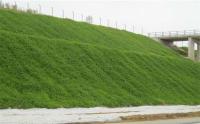 China 14mm Thickness HDPE Reinforced 3D Geomat The Best Service for Your Construction Needs for sale