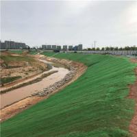 China 14mm Thickness HDPE Reinforced 3D Geomat The Best Service for Your Construction Needs for sale