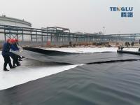 China Waterproof HDPE Geomembrane Landfill Liner with 1m-10m Width and 100% Virgin Material for sale