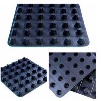 China Airports HDPE Plastic Drainage Board with Good Drainage System and Seepage Storage for sale