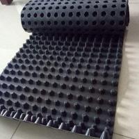 China Airports HDPE Plastic Drainage Board with Good Drainage System and Seepage Storage for sale