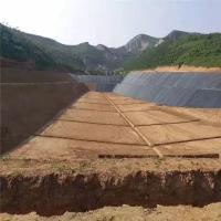 China Chinese Geomembrane Provides Green Impermeable Membrane with GB/ASTM GRI-GM13 Standard for sale
