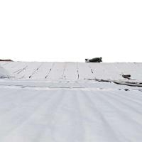 China 100g-600g Non Woven Geotextile Fabric for Effective Slope Protection and Soil Separation for sale