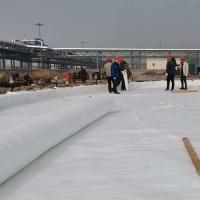 China 100g-600g Non Woven Geotextile Fabric for Effective Slope Protection and Soil Separation for sale