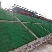 China Mountain Slope Protection with 3D Geomat After-sale Service Includes Free Spare Parts for sale