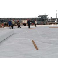 China High Tensile Strength Non-Woven Geotextile for Slope Protection in White/Black 300g/m2 for sale