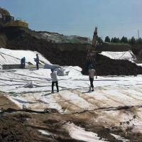 China Lightweight Landfill with High Tensile Strength Nonwoven Geotextile and Geomembrane for sale