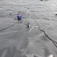 China TEnglu Geomembrana The Perfect Solution for Fish Pond and Shrimp Pond Dock Engineering for sale