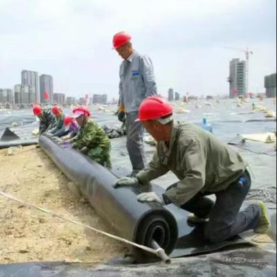 China Double Smooth Surface 2.0mm Black HDPE Geomembrane Liner for Anti-seepage in Landfill for sale