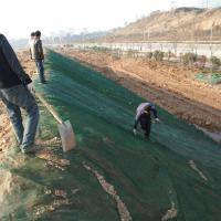 China Reinforced Green 3D Geomat for Slope Protection Onsite Training Offered for sale