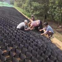China ISO9001 Certified HDPE Geocell for Road Soil Stabilization and Parking Lot Protection for sale