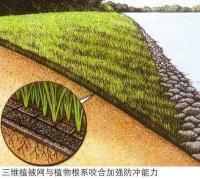 China Reinforced Green 3D Geomat GB/ASTM GRI-GM13 Standard for Slope Protection and Growth for sale