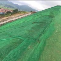 China Reinforced Green 3D Geomat GB/ASTM GRI-GM13 Standard for Slope Protection and Growth for sale